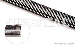 Inicio - Tecseal